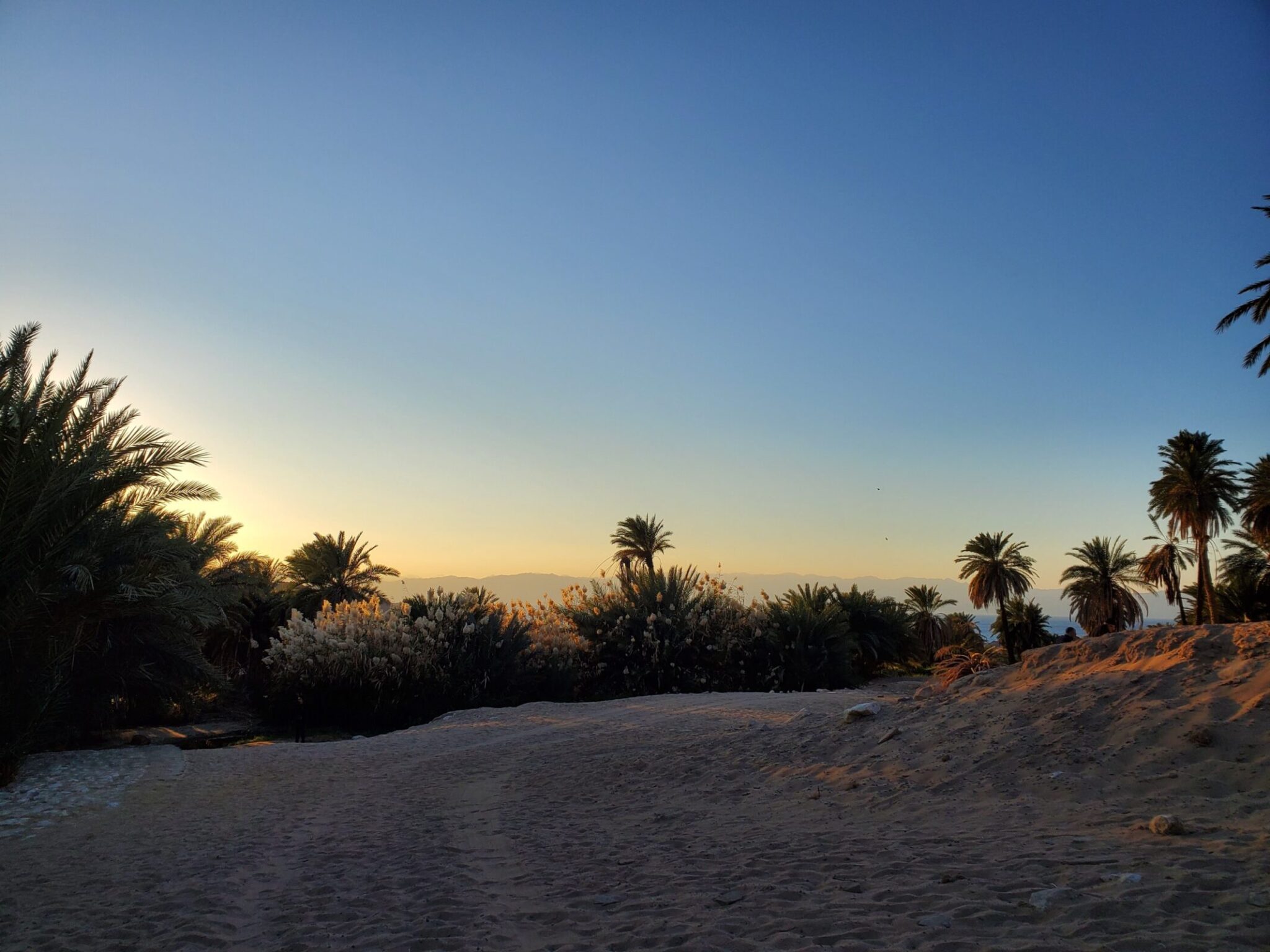 elim-on-the-eastern-shore-of-the-red-sea-mount-sinai-in-saudi-arabia